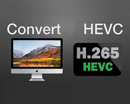 VLC with HEVC Encoder X265 Can Play All HEVC/H265 4K Videos?